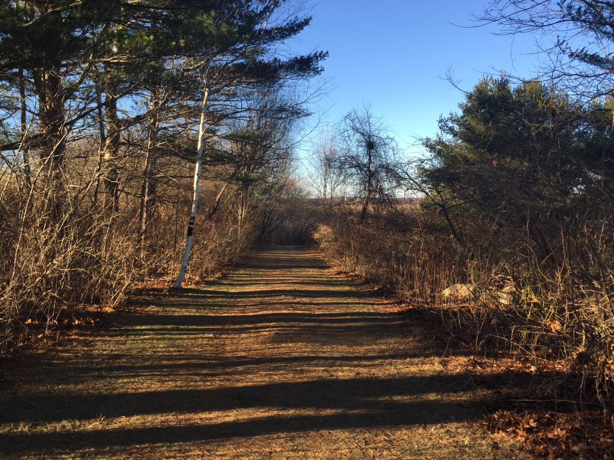 Billing Information – Jeffrey J Howlett, M.Ed, LMHC, LMFT